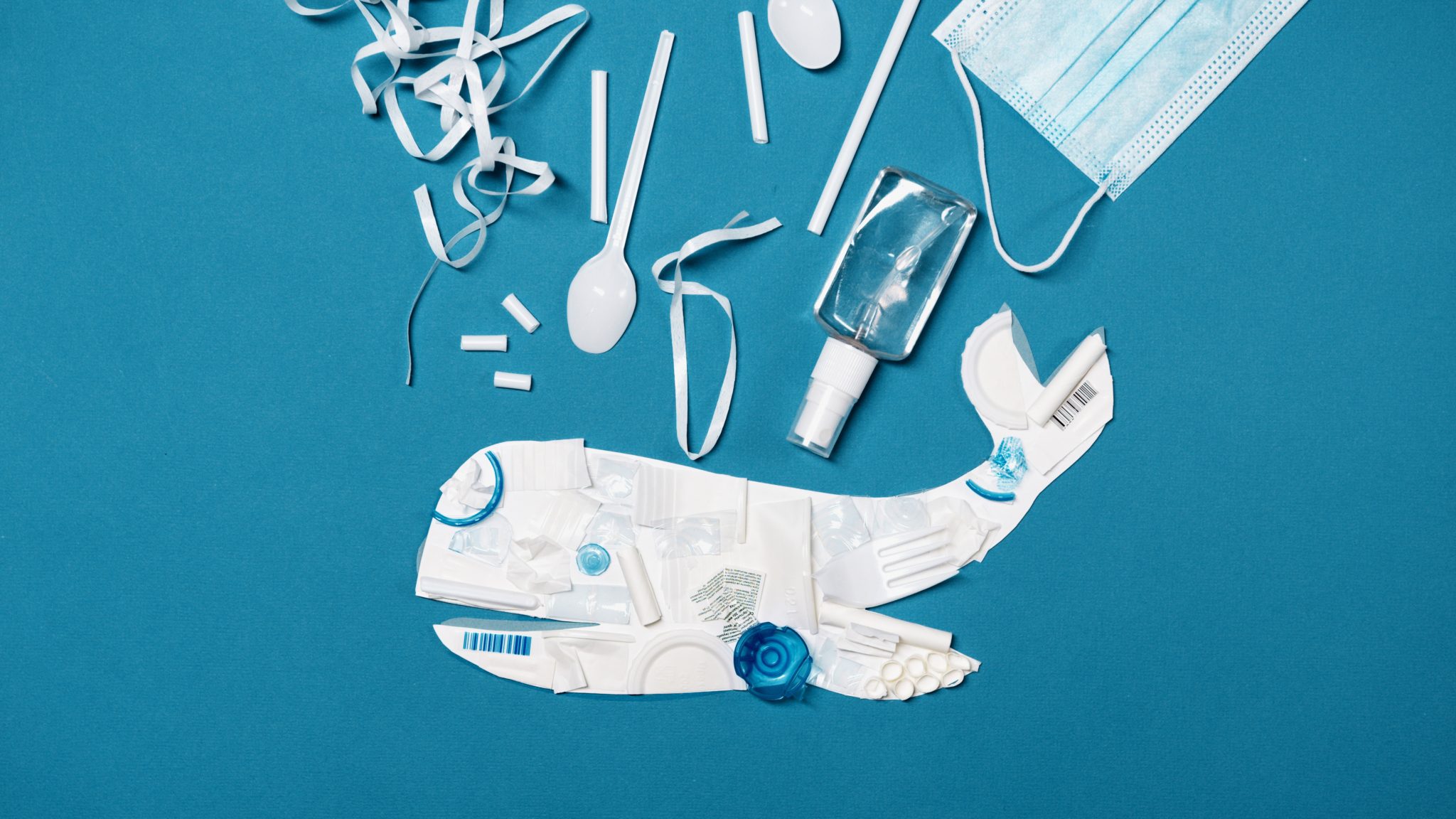 How Many Fish Does Plastic Kill? – Sparkoncept | Biodegradable plastic ...