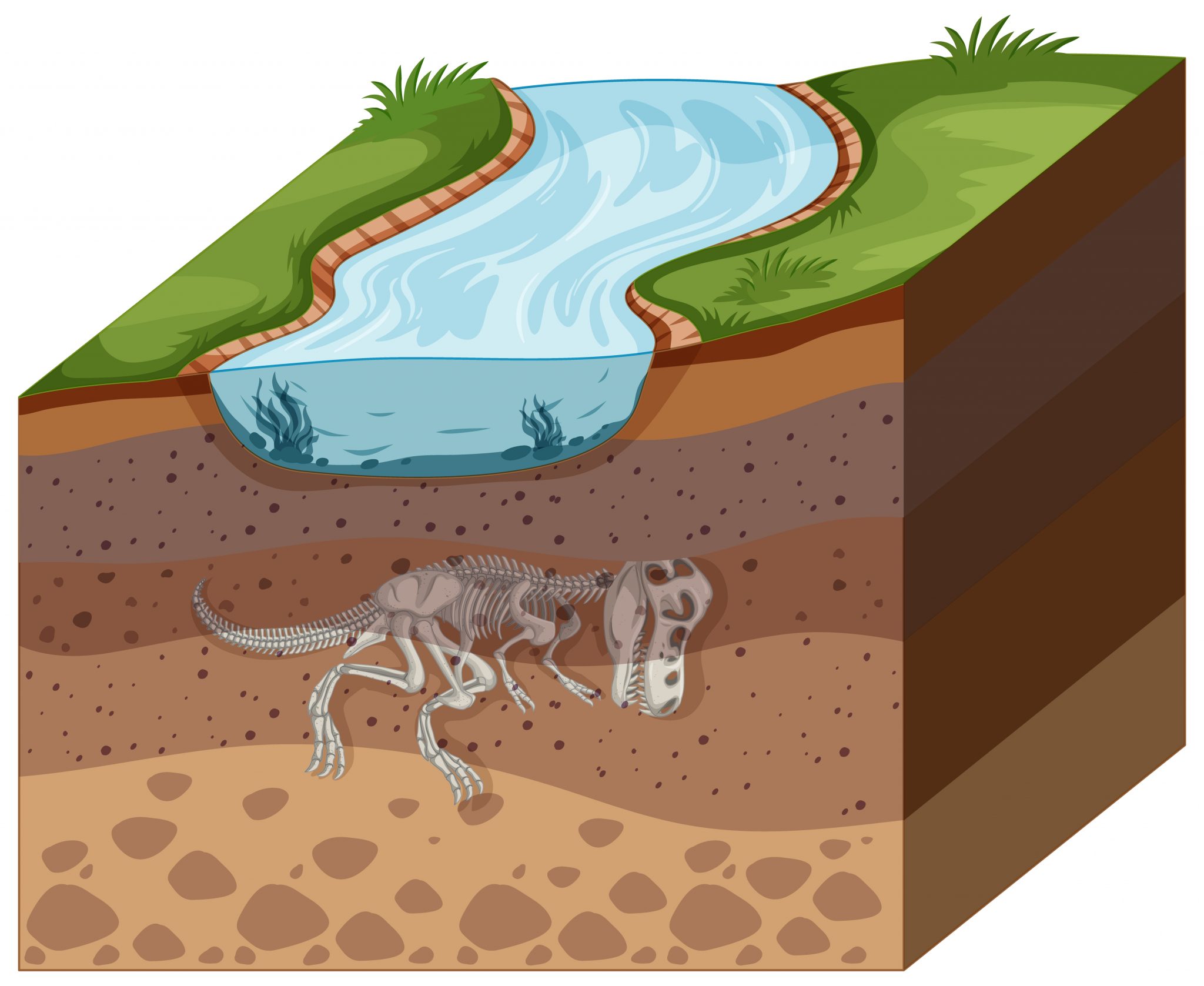 How Does Plastic Affect the Lithosphere? | Sparkoncept | Biodegradable ...
