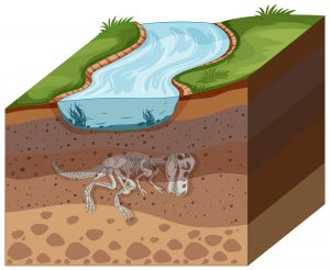 How Does Plastic Affect the Lithosphere? | Sparkoncept | Biodegradable ...