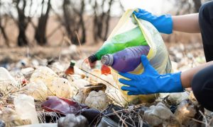 Making a Difference: Easy Ways to Reduce Disposable Plastic Waste ...