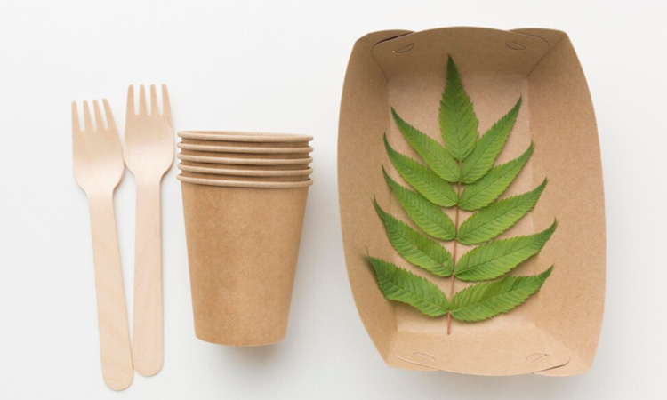 Eco-Friendly Packaging: Redefining Sustainable Solutions for a Greener ...
