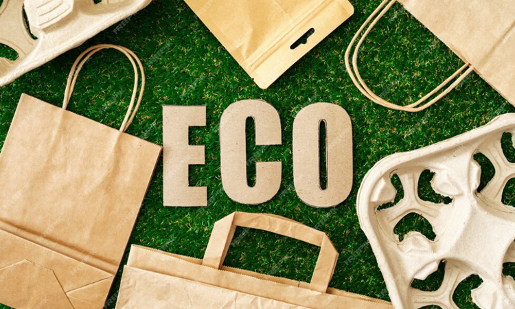 Embracing Eco-Friendly Materials: Building a Sustainable Future ...