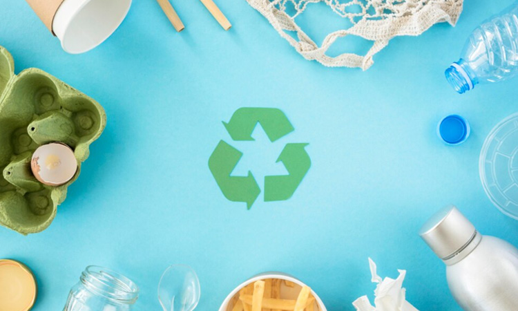 Factors Influencing Biodegradation Rates | Sparkoncept | Biodegradable ...