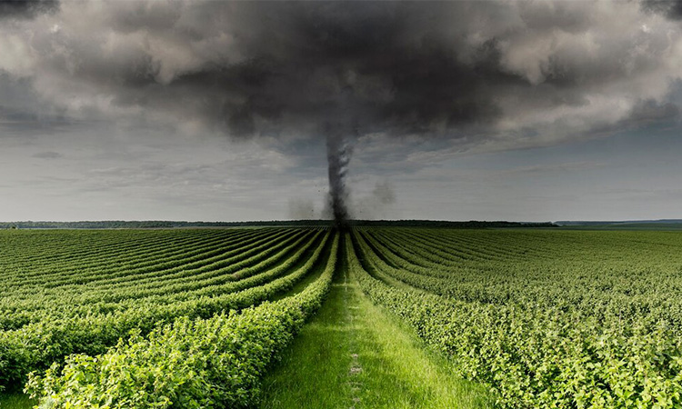 Agricultural Emission Control: Balancing Food Production and ...