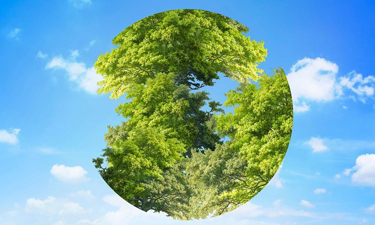 Carbon Dioxide Absorption: Nature's Balancing Act | Sparkoncept ...