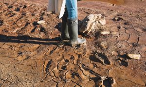 Soil Erosion Prevention: Protecting Our Precious Earth | Sparkoncept ...